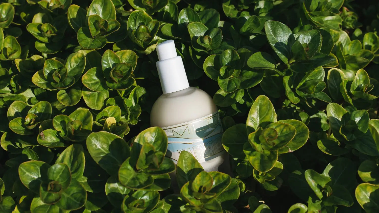 Plant powered – ROMY